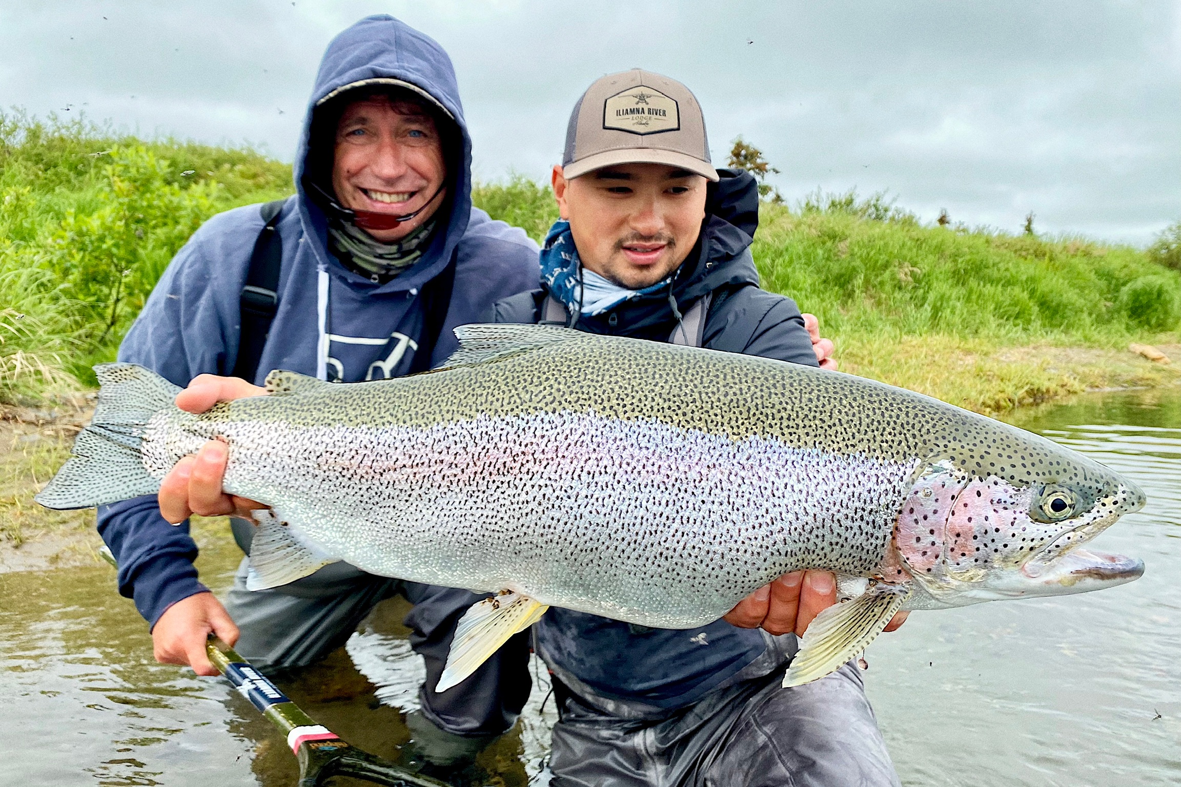 A Guide to Ultimate Bristol Bay Fly Fishing in Alaska - Iliamna River Lodge